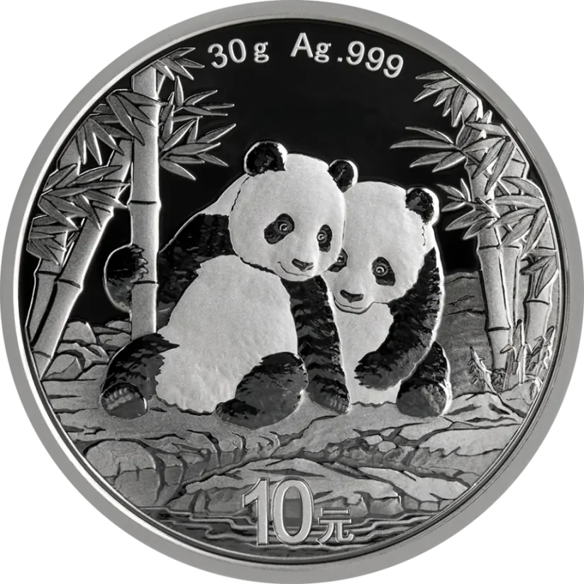 Silver coin Panda 30g | 2026